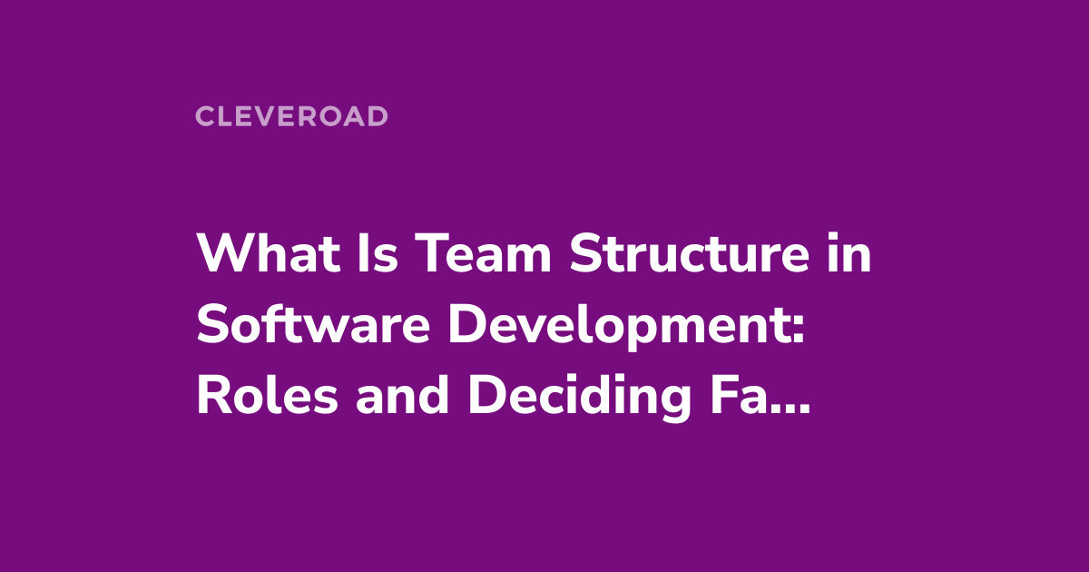 Software Development Team Structure: Roles, Types and Best Practices