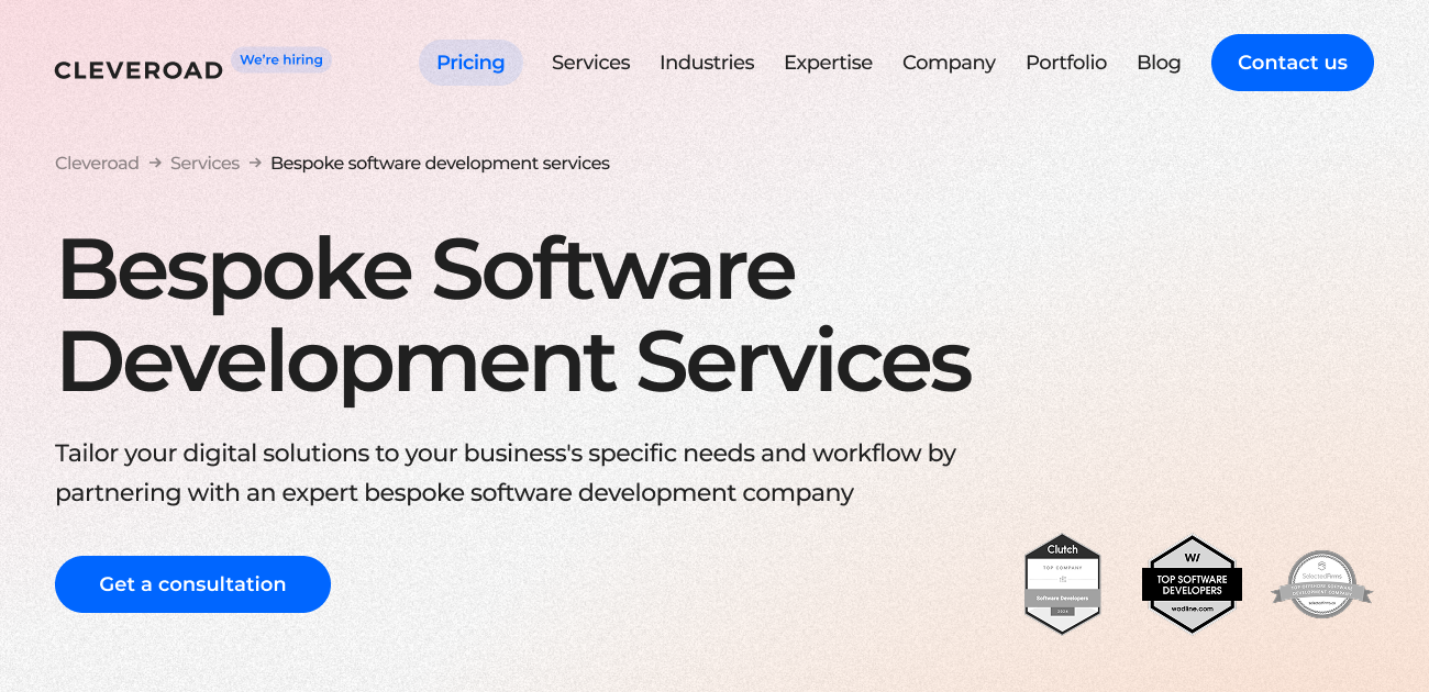 Trusted Bespoke Software Development Company | Cleveroad