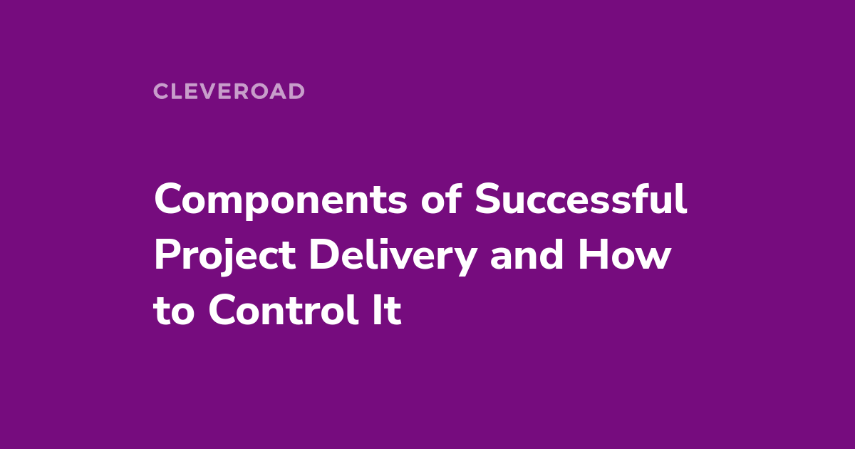 What Makes a Successful Project Delivery and How to Control It