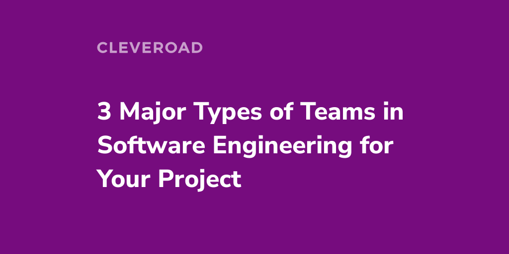 Choose Appropriate Software Engineering Team Successfully