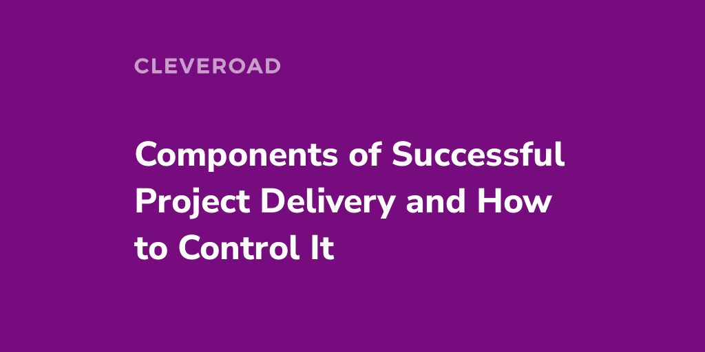 What Makes a Successful Project Delivery and How to Control It