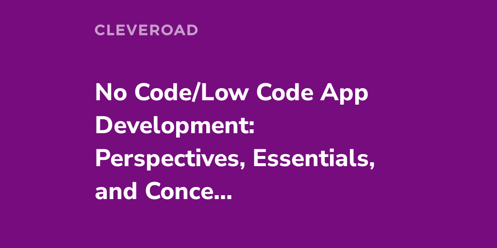 A Low Code/No Code App Development: How To Succeed?