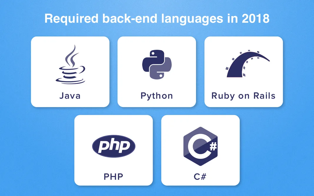 Choosing Best Programming Language to Learn in 2024