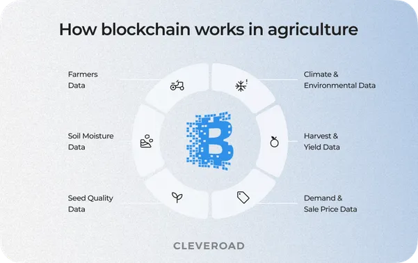 Blockchain In Agriculture And Its Great Advantages To Make Use Of