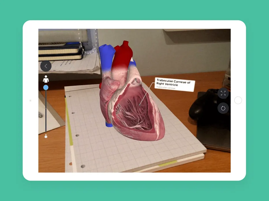 What Is Augmented Reality in Education and How to Use It?