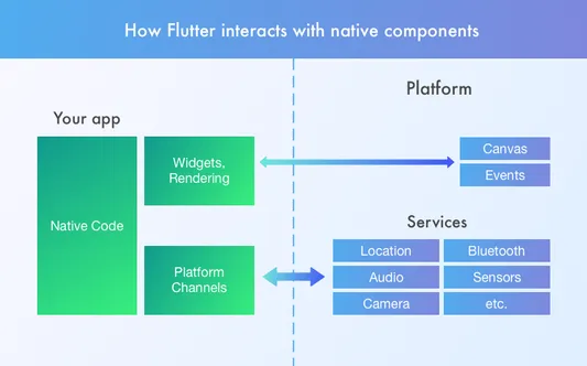 Flutter vs. React Native: A Side by Side Comparison